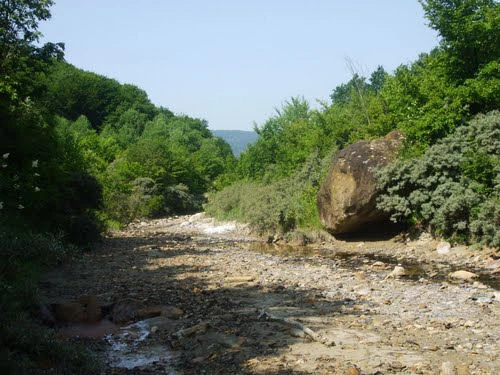 Pietraru, Buzău | Familypedia | Fandom