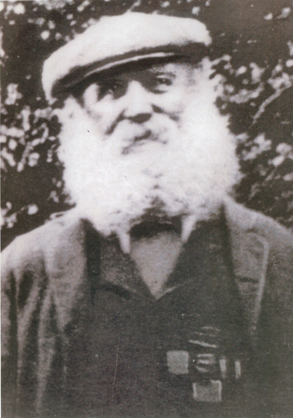 The Not So Famous | Familypedia | Fandom