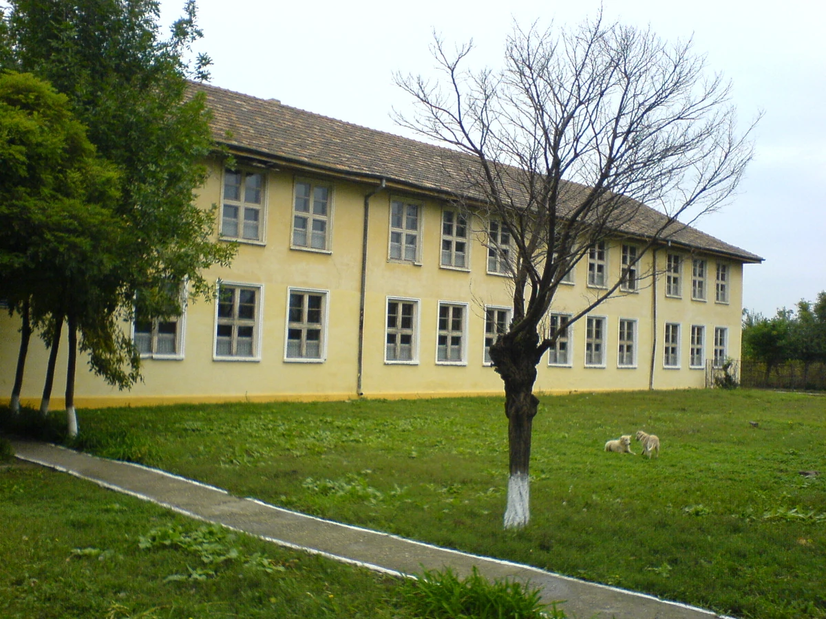 Mărașu, Brăila | Familypedia | Fandom