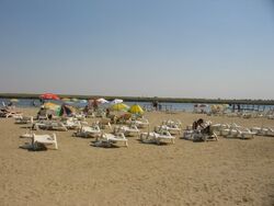 Amara | Familypedia | Fandom