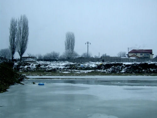 Câmpineanca, Vrancea | Familypedia | Fandom