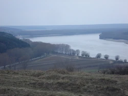 Commune of Rasova, Constanța | Familypedia | Fandom