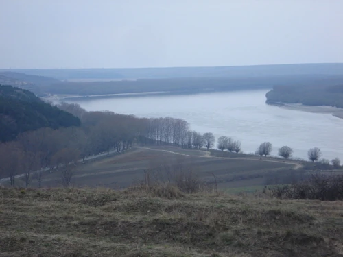 Commune of Rasova, Constanța | Familypedia | Fandom