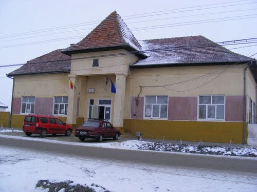 Checea, Timiș | Familypedia | Fandom