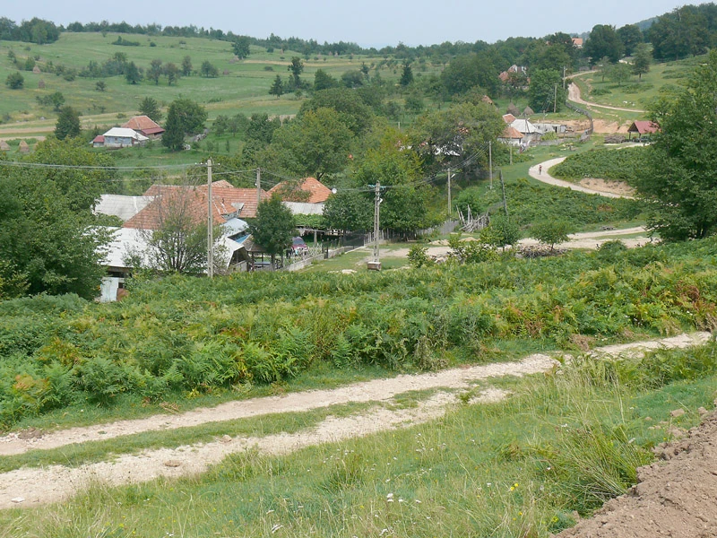 Zece Hotare, Bihor | Familypedia | Fandom