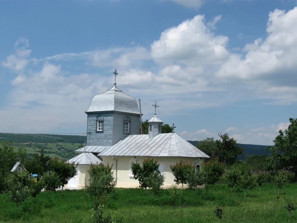 Pădureni, Vaslui | Familypedia | Fandom