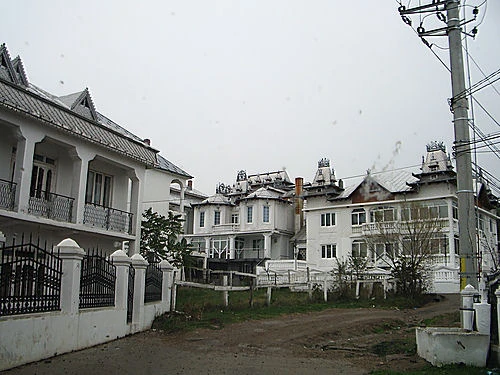 Toflea, Galați | Familypedia | Fandom