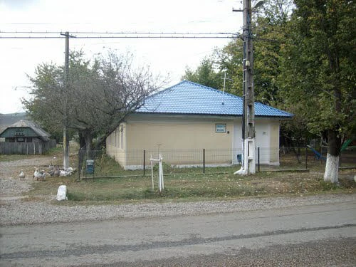 Dealu Morii, Bacău | Familypedia | Fandom