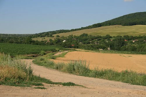 Căprioara, Tulcea | Familypedia | Fandom