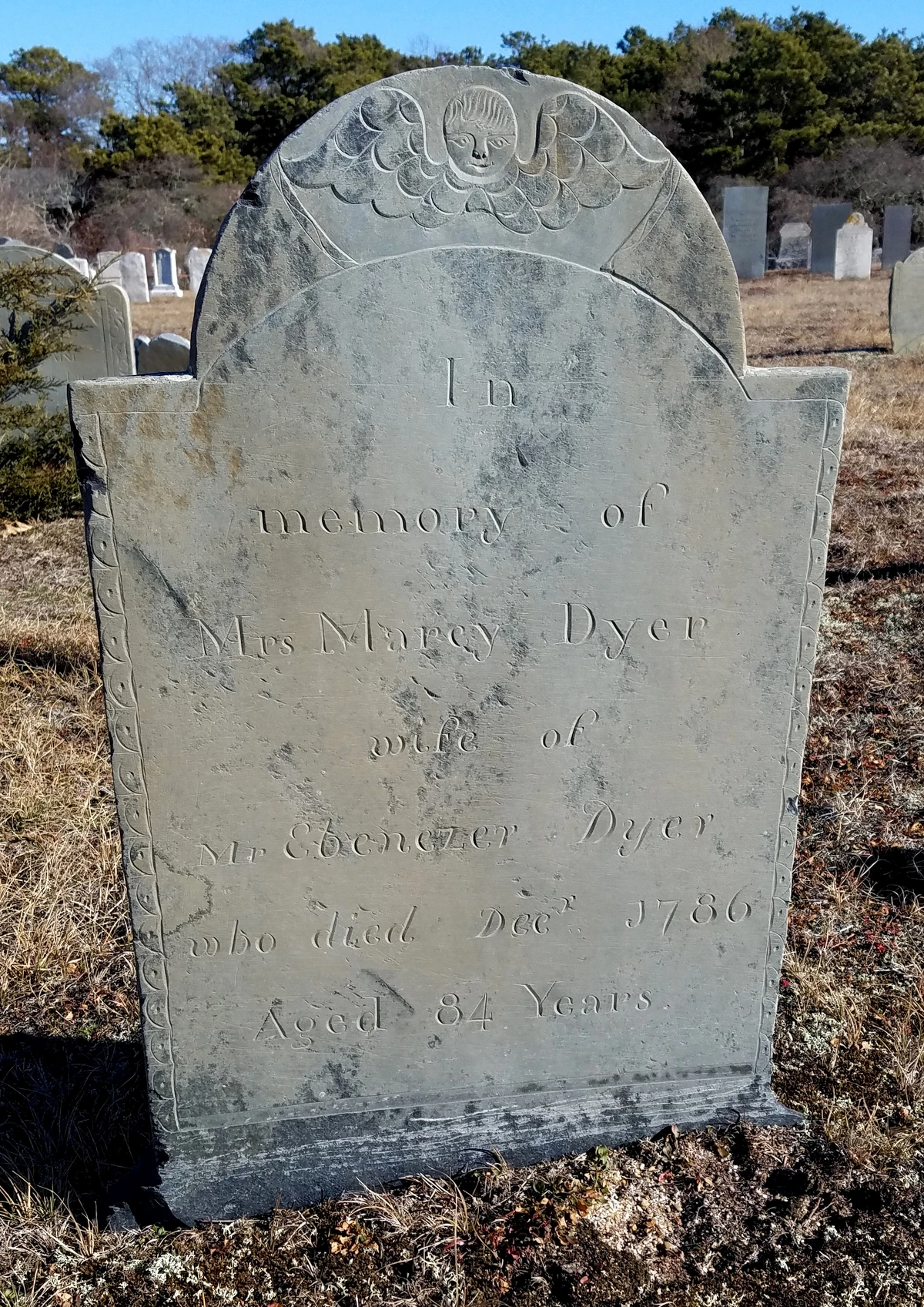 Mercy Freeman (1702-1786) | Familypedia | Fandom