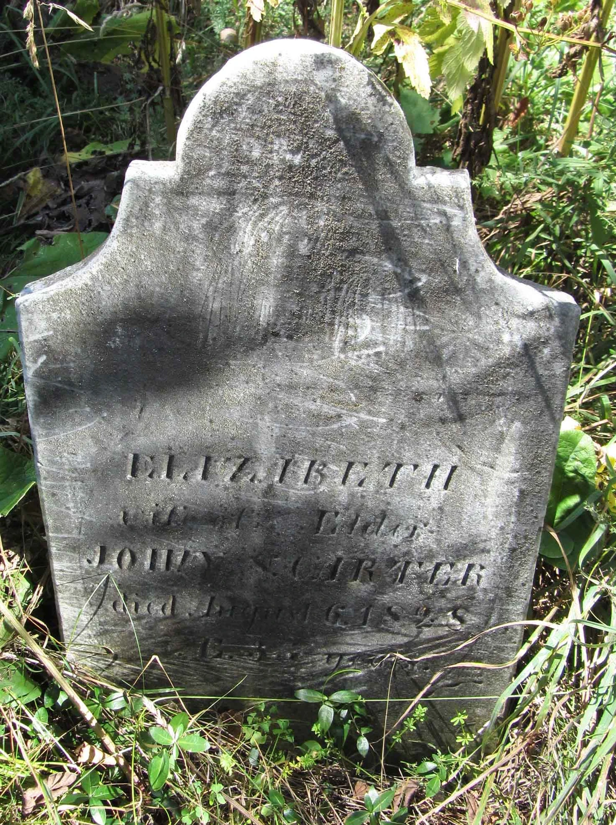 Elizabeth Kinyon (1793-1828) | Familypedia | Fandom