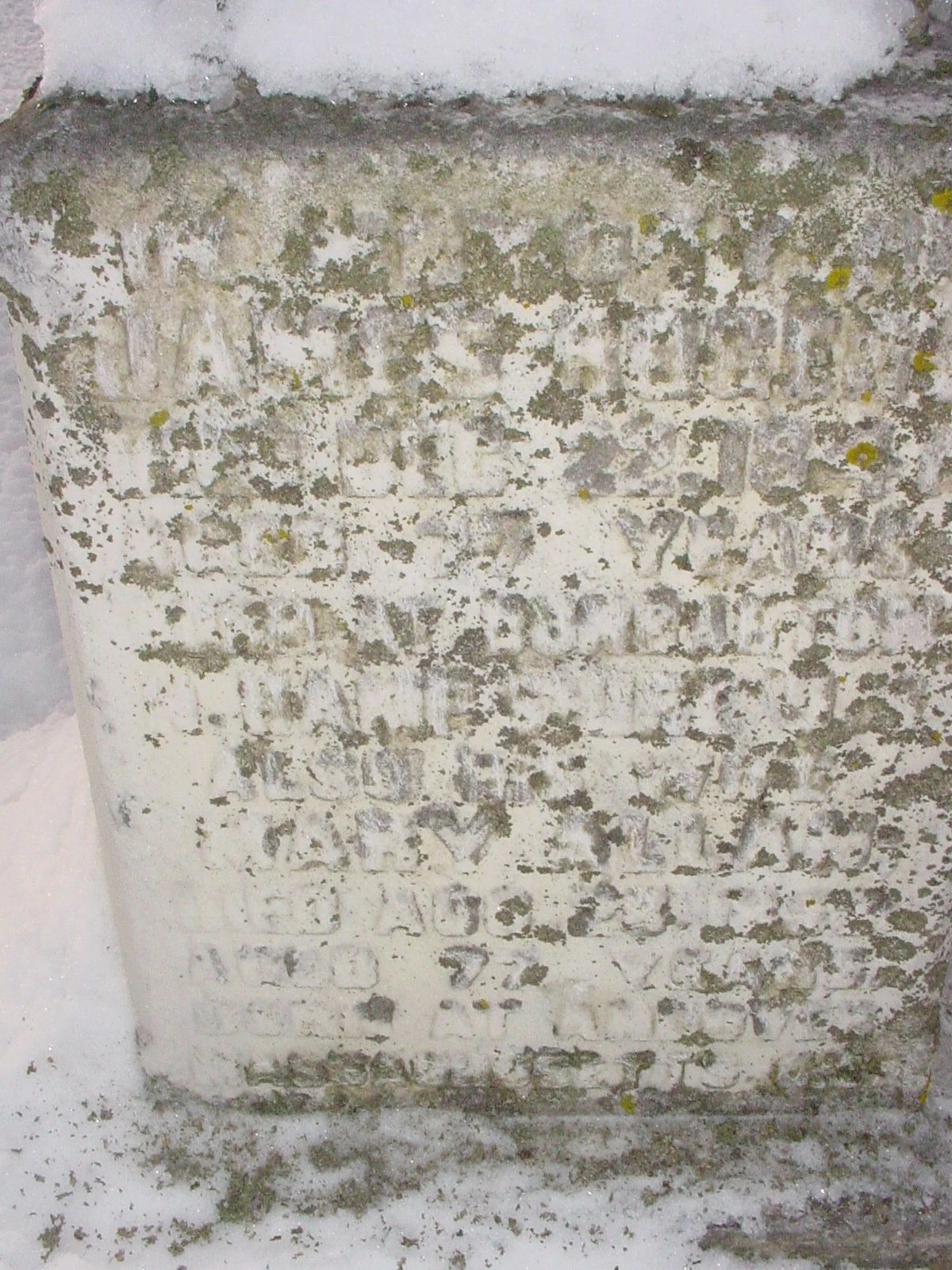 Mary Ann Allen (1775-1852) | Familypedia | Fandom