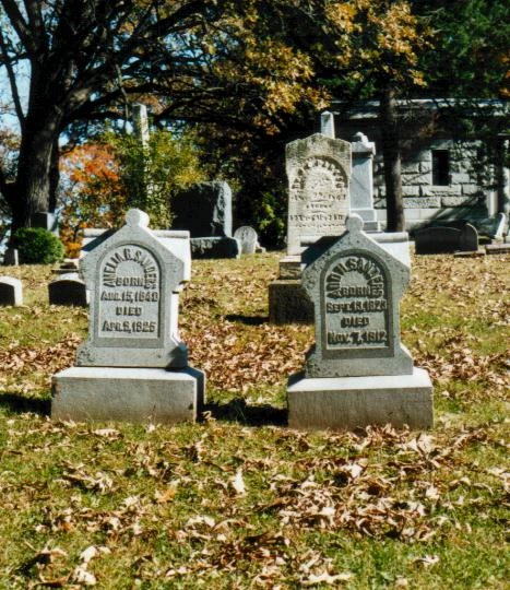 Amelia Barrows (1840-1925) | Familypedia | Fandom