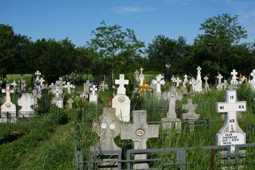 Bolovani, Dâmbovița | Familypedia | Fandom