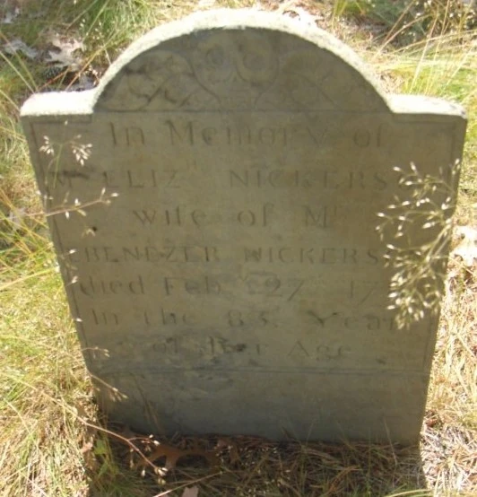 Elizabeth Mayo (1706-1789) | Familypedia | Fandom