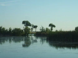 Commune of Tormac, Timiș | Familypedia | Fandom