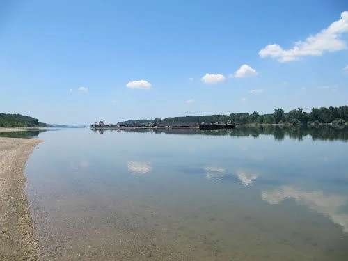 Basarabi, Dolj | Familypedia | Fandom