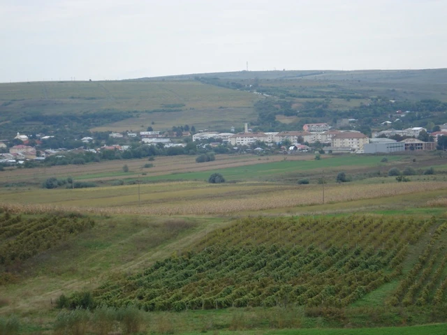 Commune of Podu Turcului, Bacău | Familypedia | Fandom