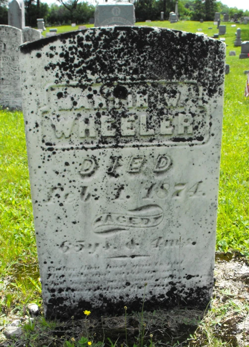 Martin William Wheeler (1808-1874) | Familypedia | Fandom