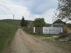 Bălțata, Bacău | Familypedia | Fandom