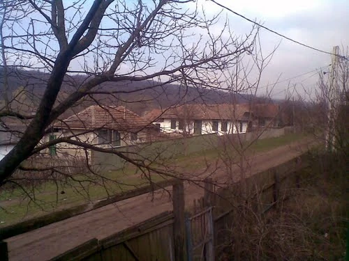 Category:Rediu Galian, Vaslui | Familypedia | Fandom