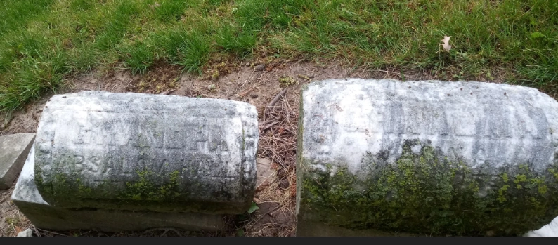 Anna Cunningham (1786-1849) | Familypedia | Fandom