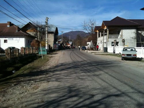 Commune of Runcu, Dâmbovița | Familypedia | Fandom