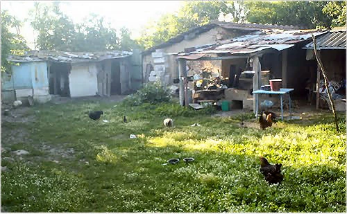 Darabani, Constanța | Familypedia | Fandom