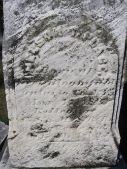 Nelson Thatcher Place (1817-1880) | Familypedia | Fandom