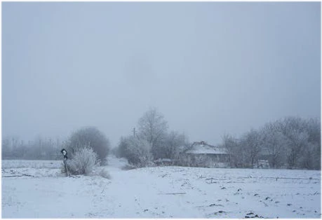 Salcia Veche, Vrancea | Familypedia | Fandom