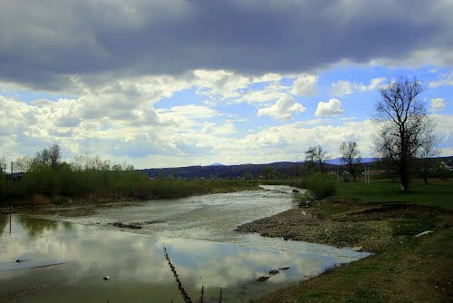 Livezi, Bacău | Familypedia | Fandom