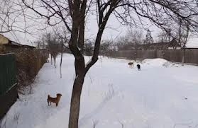 Movila Banului, Buzău | Familypedia | Fandom