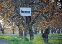 Roma, Botoșani | Familypedia | Fandom