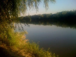 Commune of Șendreni, Galați | Familypedia | Fandom