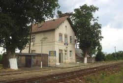 Satchinez, Timiș | Familypedia | Fandom