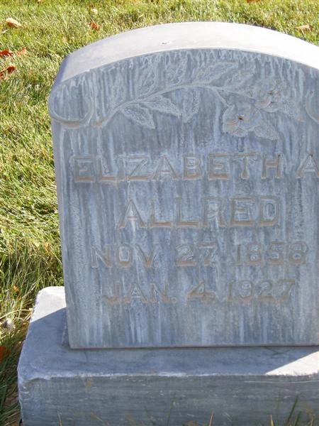 Barbara Allred (1860-1902) | Familypedia | Fandom