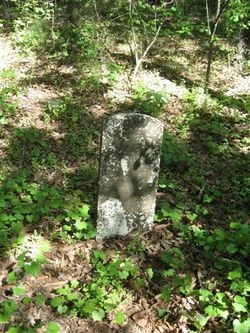 Moses Sanders (1742-1817) | Familypedia | Fandom