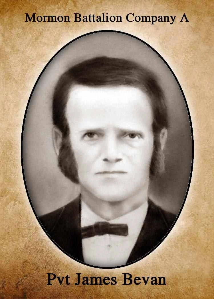 James Bevan (1821-1894) | Familypedia | Fandom