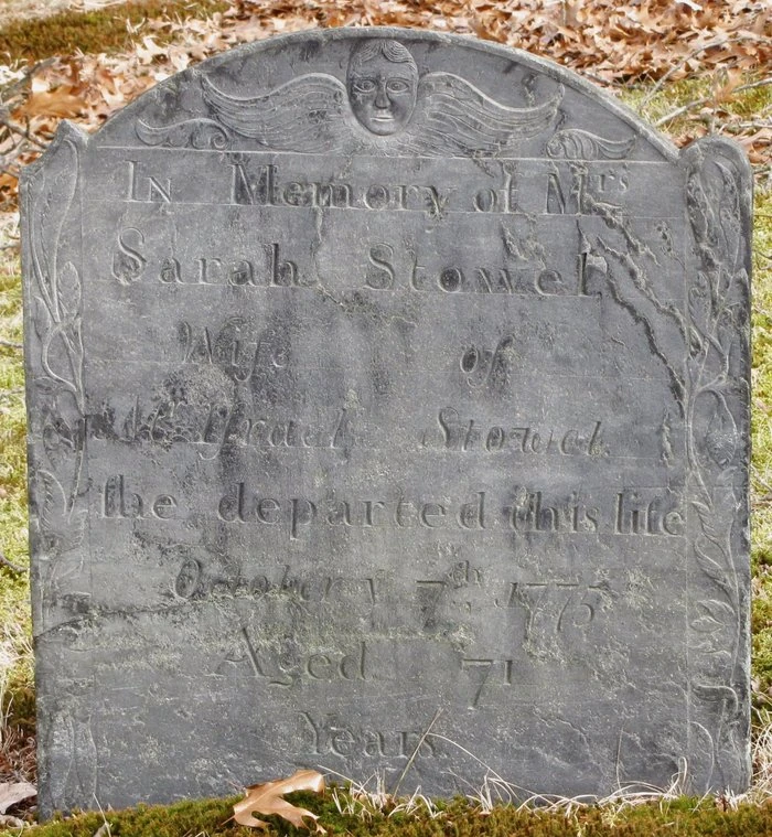 Sarah Cheney (1704-1775) | Familypedia | Fandom