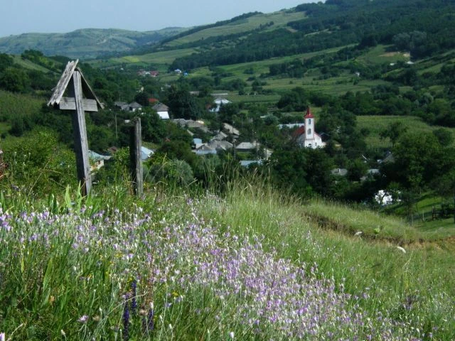 Arini, Bacău | Familypedia | Fandom