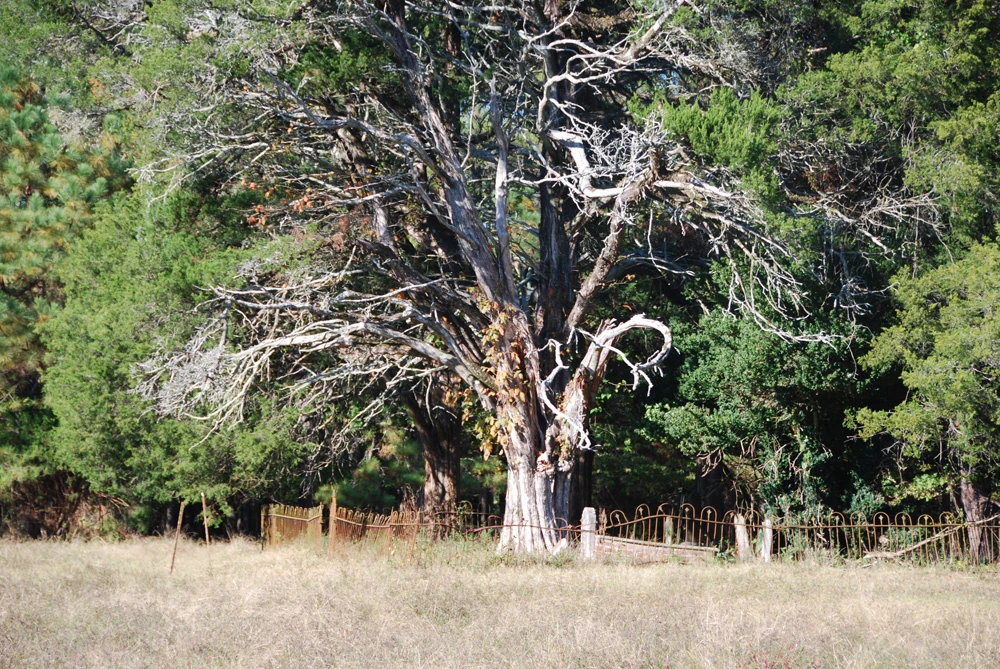 Geer Family Cemetery, Greene County, Georgia | Familypedia | Fandom