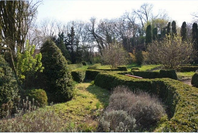 Macea, Arad | Familypedia | Fandom