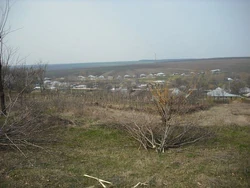 Nicopole, Galați | Familypedia | Fandom