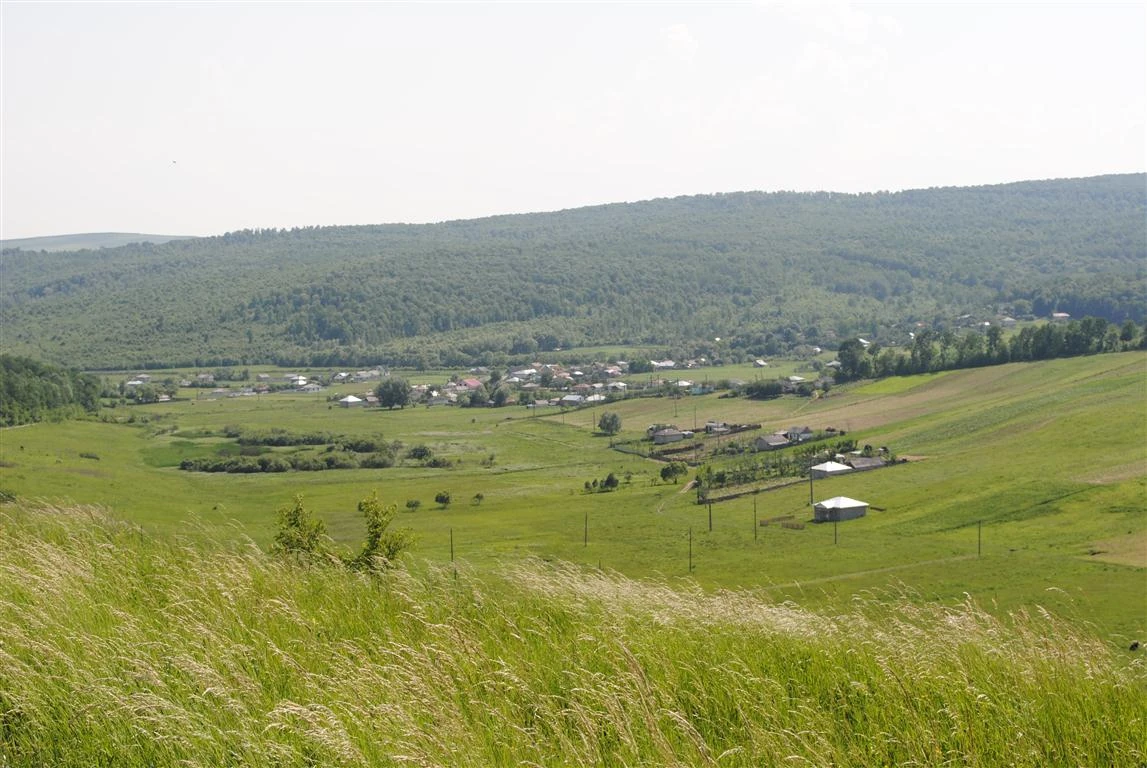 Balta Arsă, Botoșani | Familypedia | Fandom