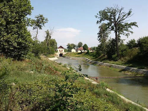 Commune of Coșteiu, Timiș | Familypedia | Fandom