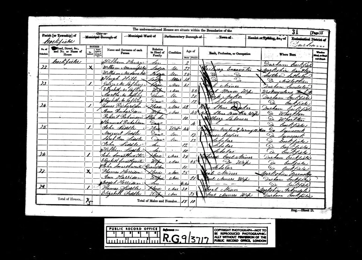 Joseph Harrison (1860-1942) | Familypedia | Fandom