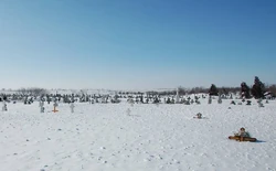 Commune of Colelia, Ialomița | Familypedia | Fandom