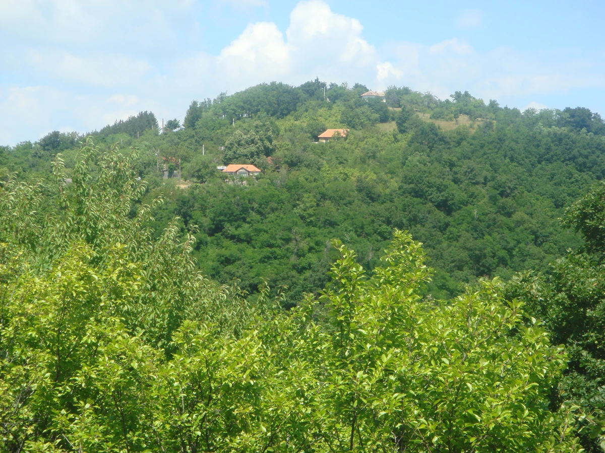 Commune of Godeanu, Mehedinți | Familypedia | Fandom