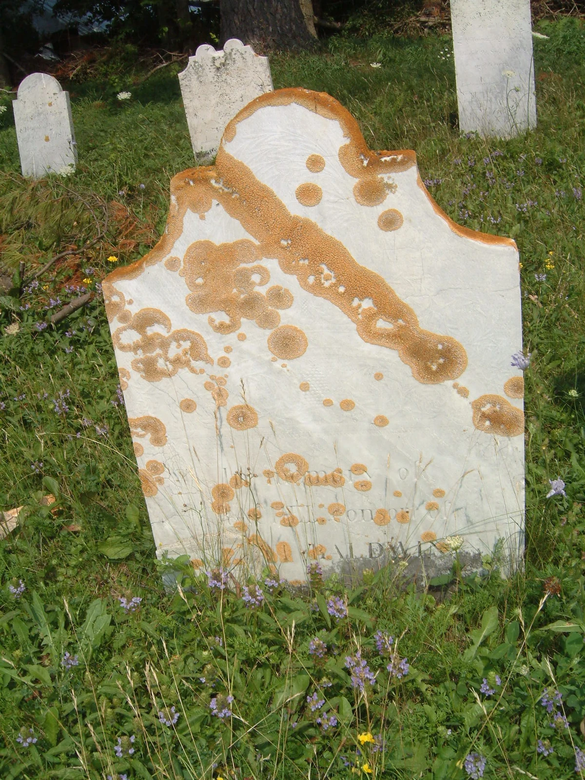 Rachel Unknown (c1749-1810) | Familypedia | Fandom