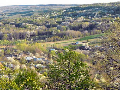 Commune of Grajduri, Iași | Familypedia | Fandom
